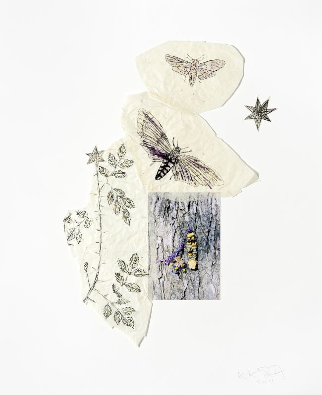 Kiki Smith - artiste - Galerie Lelong & Co.